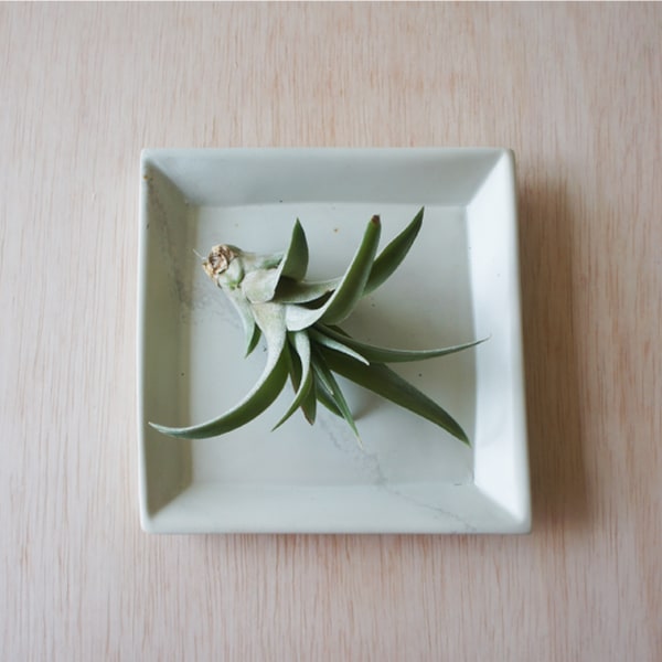 Natural Large Square Dish - Venture Imports